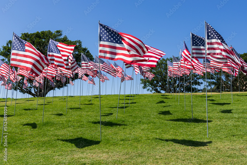 Patriotic scene of dozens of American flags flying over a green lawn ...