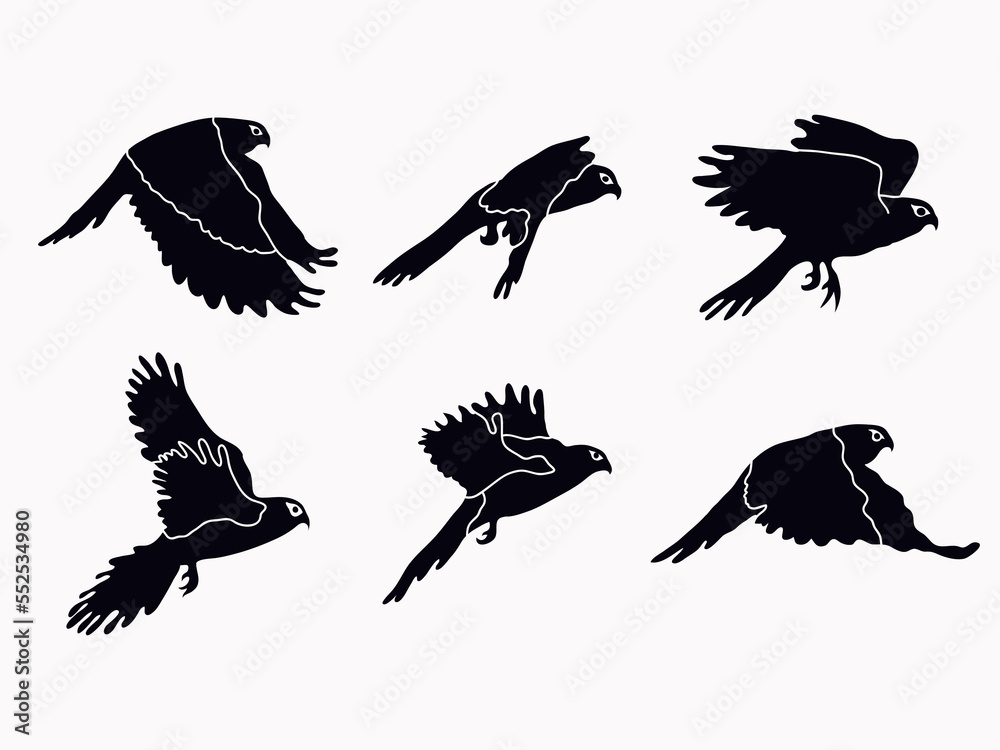 abstract falcon fly and landing style silhouette .hawk flying shadow ...