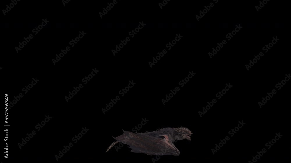 Realistic Dragon Landing Animation isolated on a black background ...