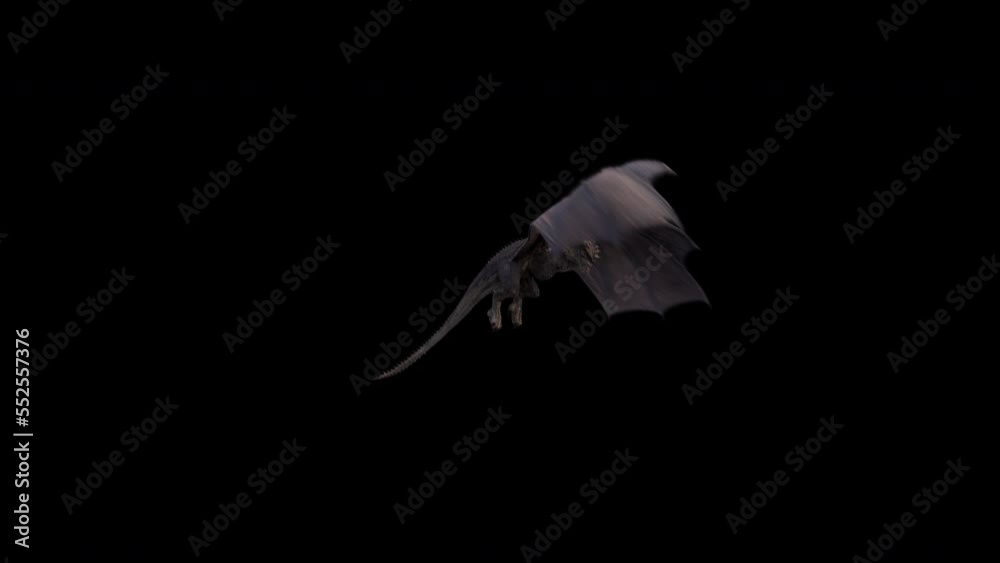 Realistic Dragon take off Animation isolated on black background effect ...