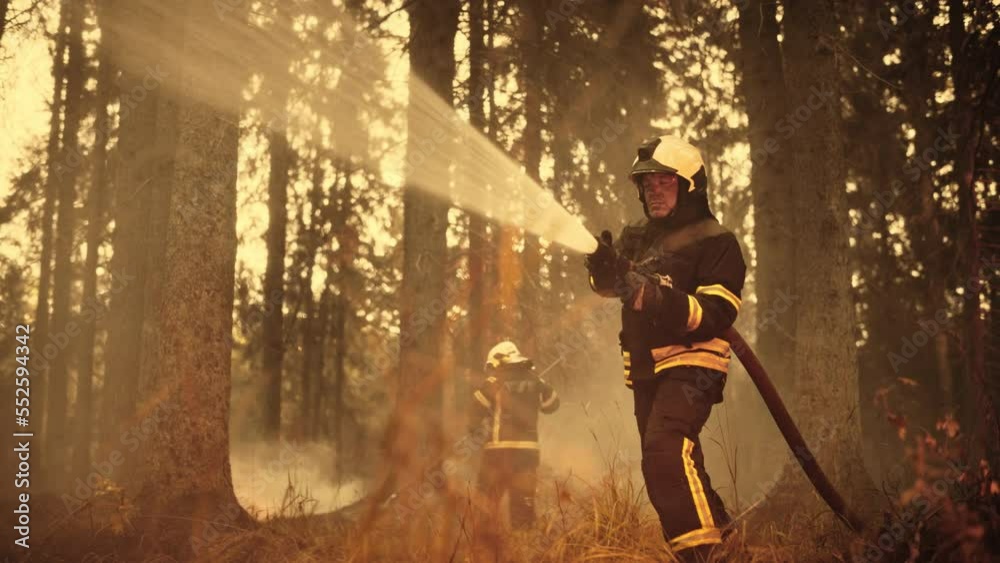 Experienced Firefighter Extinguishing a Wildland Fire Deep in a Forest ...