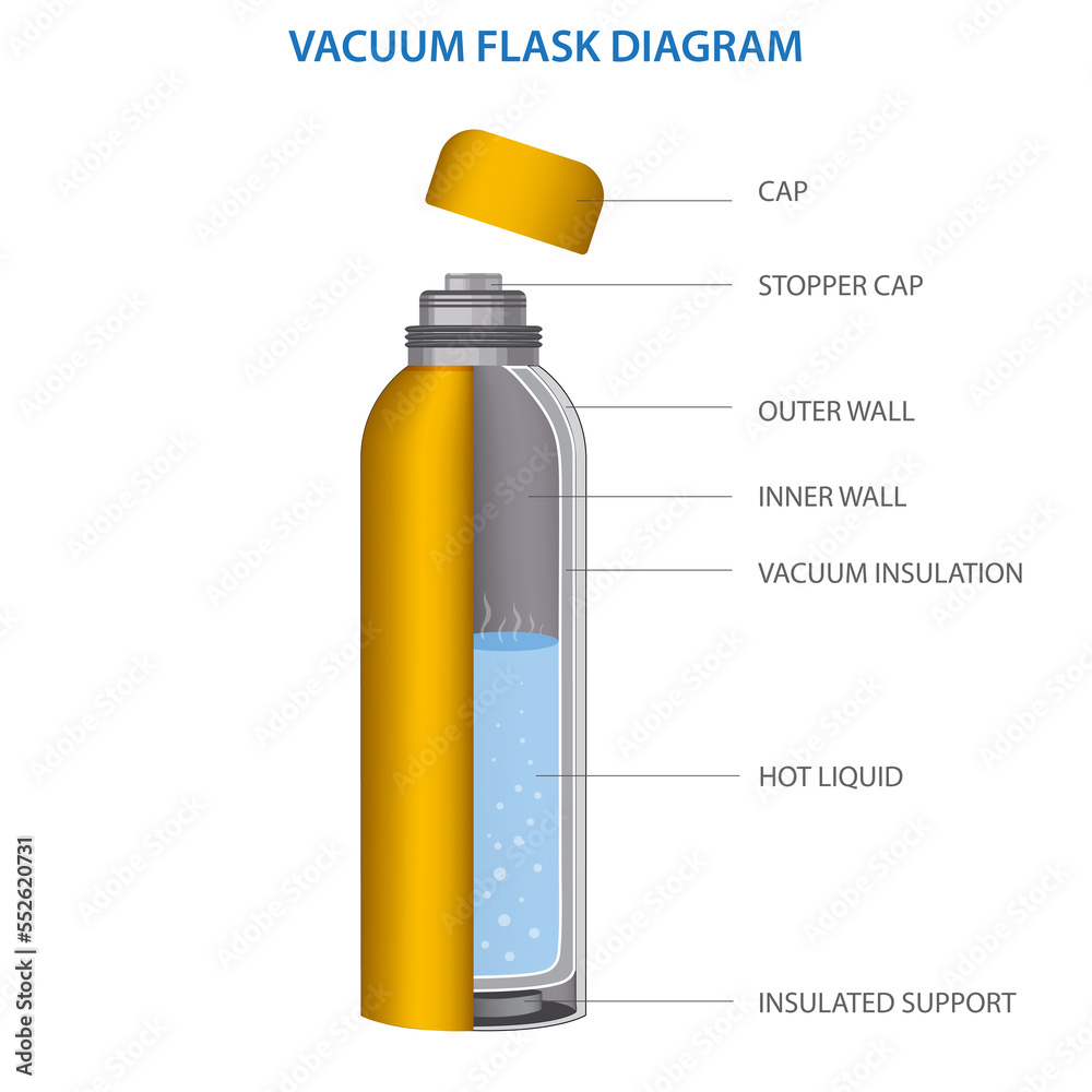 vacuum flask or Thermo flask fully diagram vector illustration Stock ...