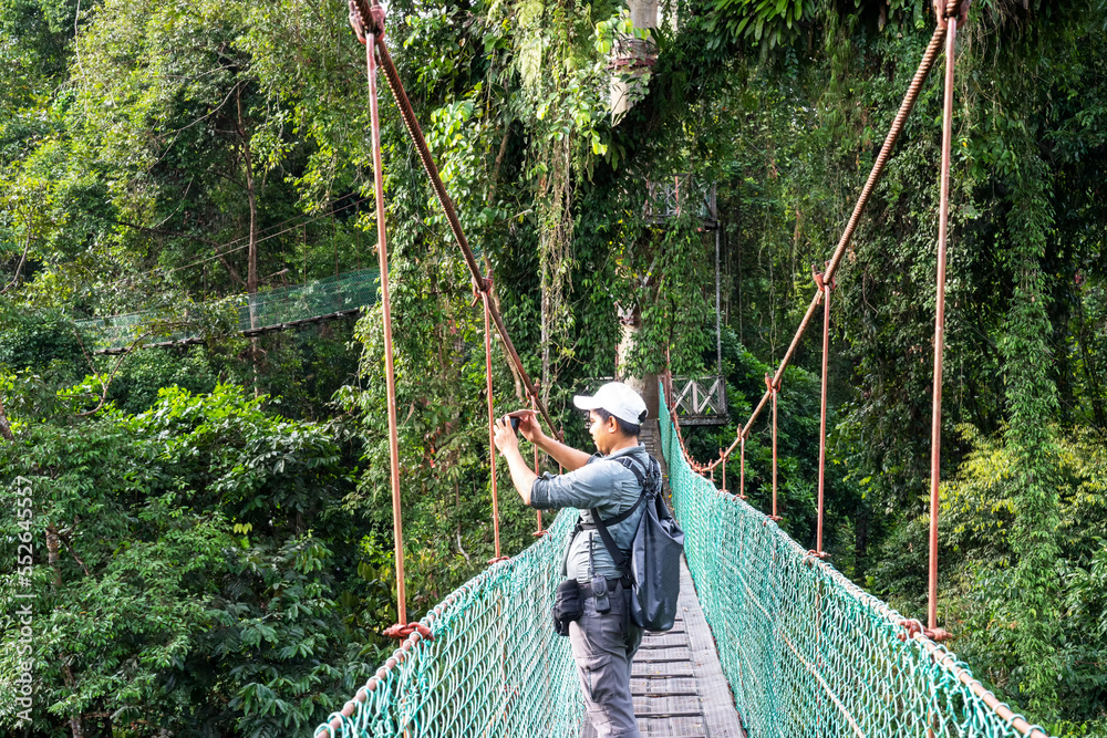 Man taking photo with smart phone at suspension bridge in tree top ...