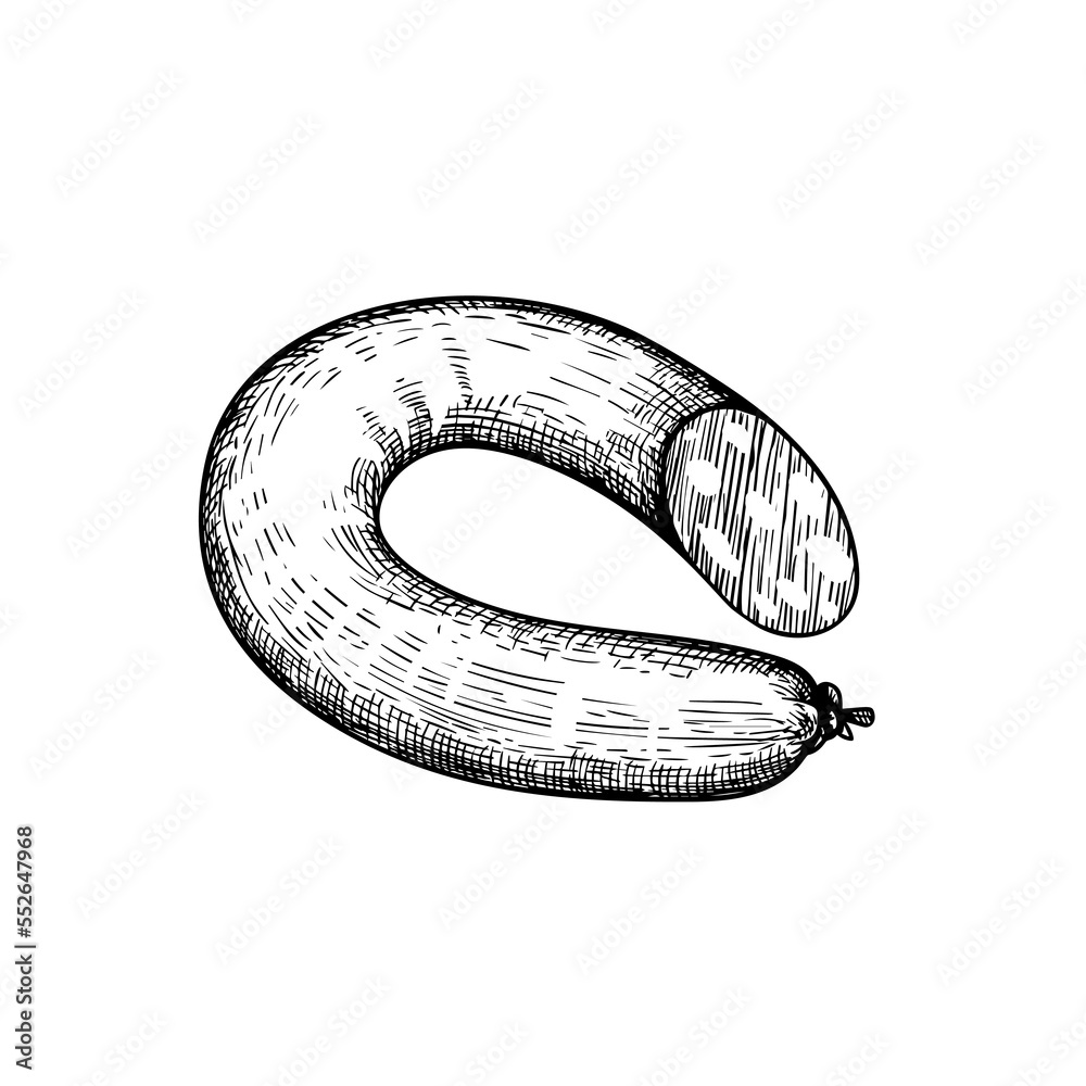 Sausage in cut . Vintage style. Hand drawn sketch style butchery ...