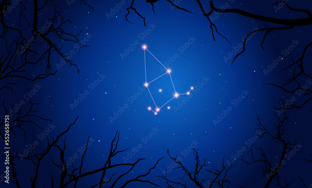 Vector illustration Cepheus constellation. Tree branches, dark blue ...