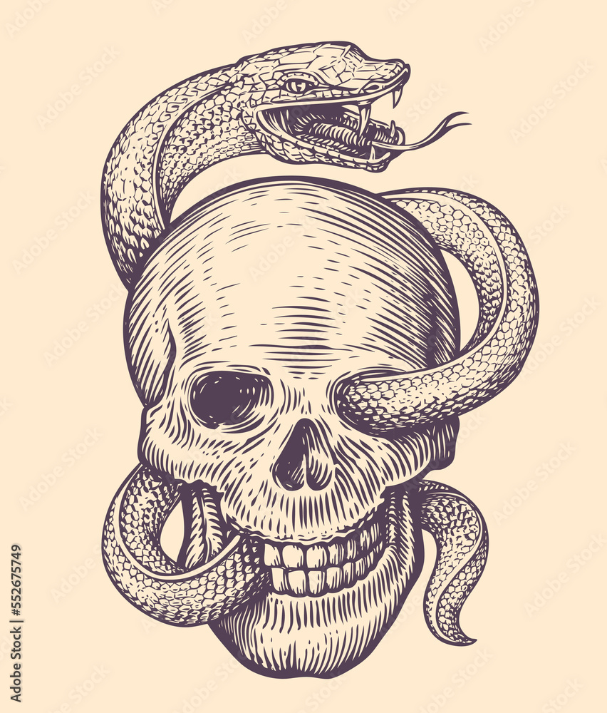 Snake wraps around human skull. Hand drawn sketch in vintage engraving ...