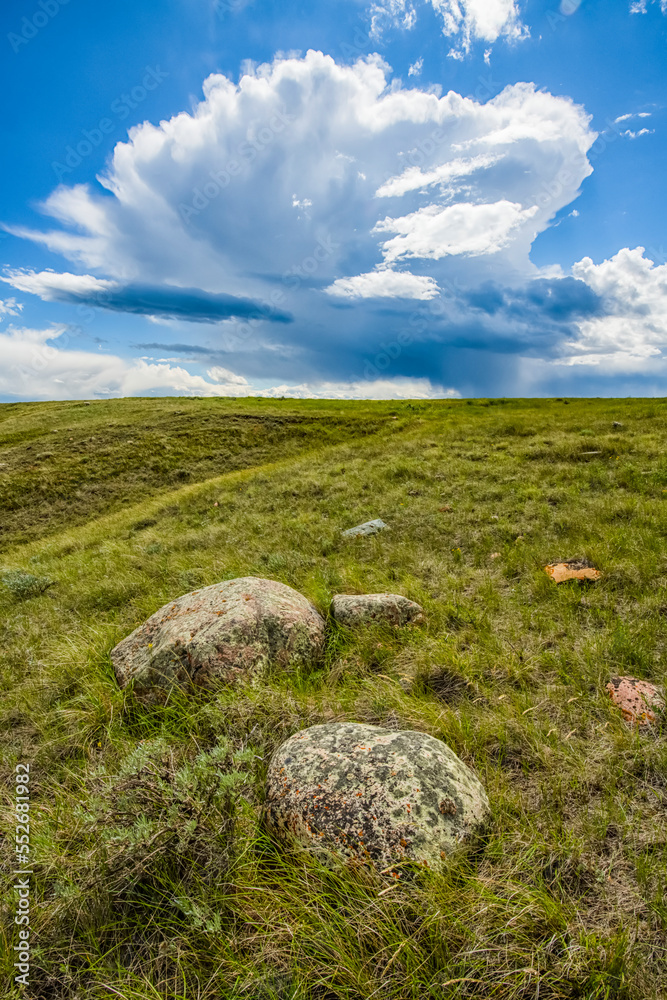 Vast landscape stretching to the horizon in Grasslands National Park ...