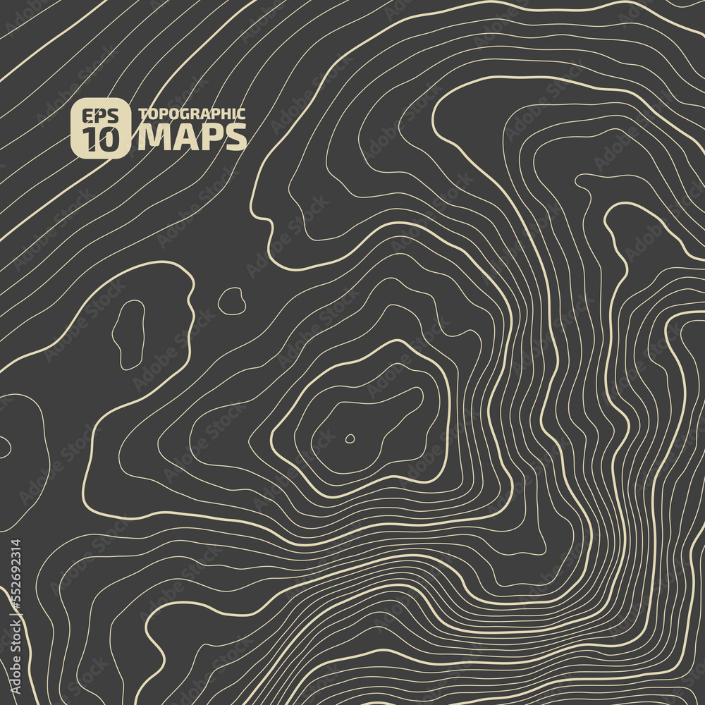 Black on gray contours vector topography stylized height of the lines ...