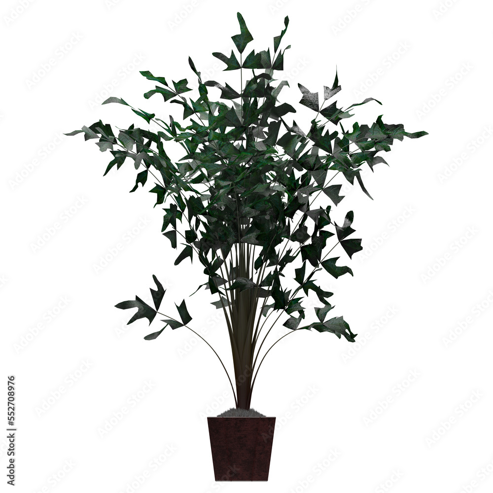 Generic Plant Tree PNG rendered in 4K Resolution for compositing and ...