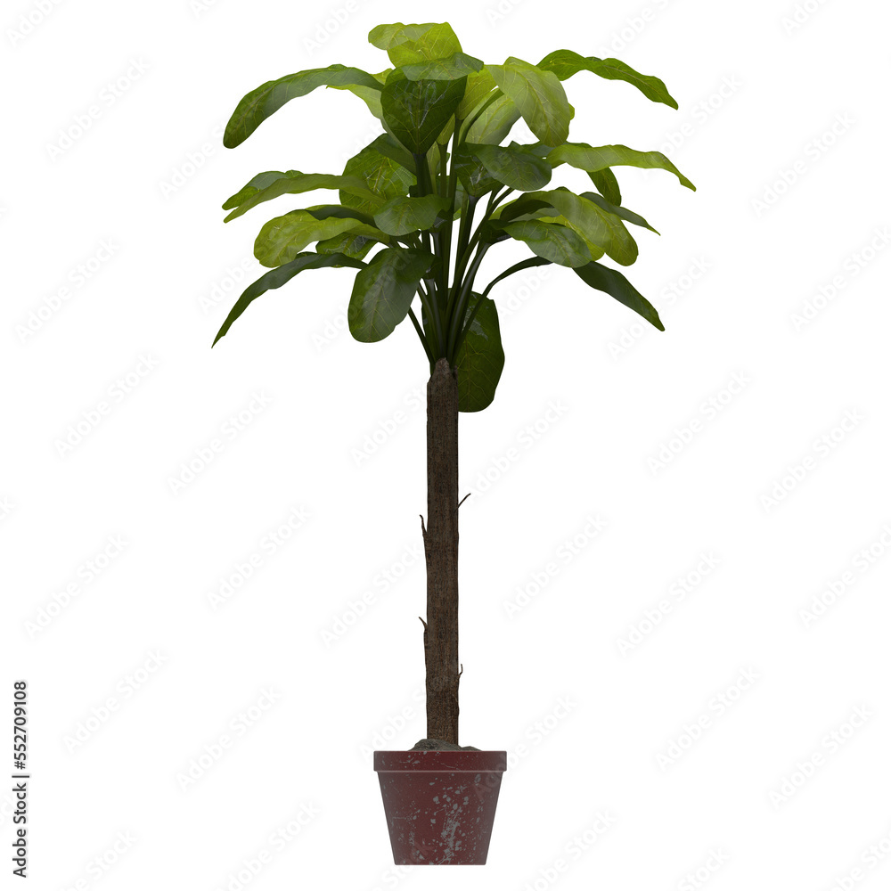 Generic Plant Tree PNG rendered in 4K Resolution for compositing and ...