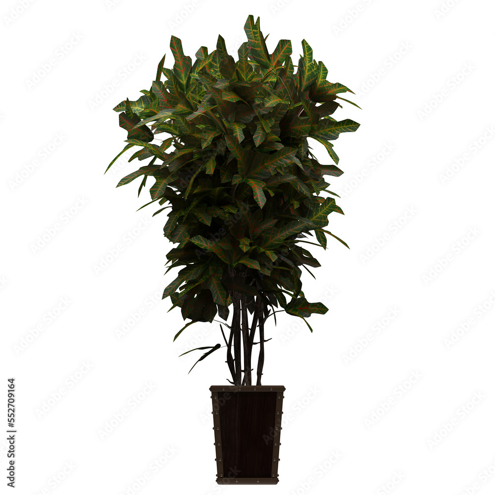Generic Plant Tree PNG rendered in 4K Resolution for compositing and ...