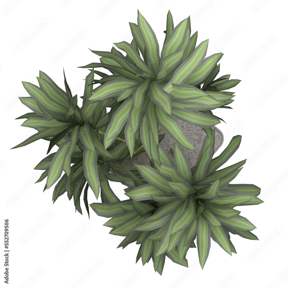 Generic Plant Tree PNG rendered in 4K Resolution for compositing and ...