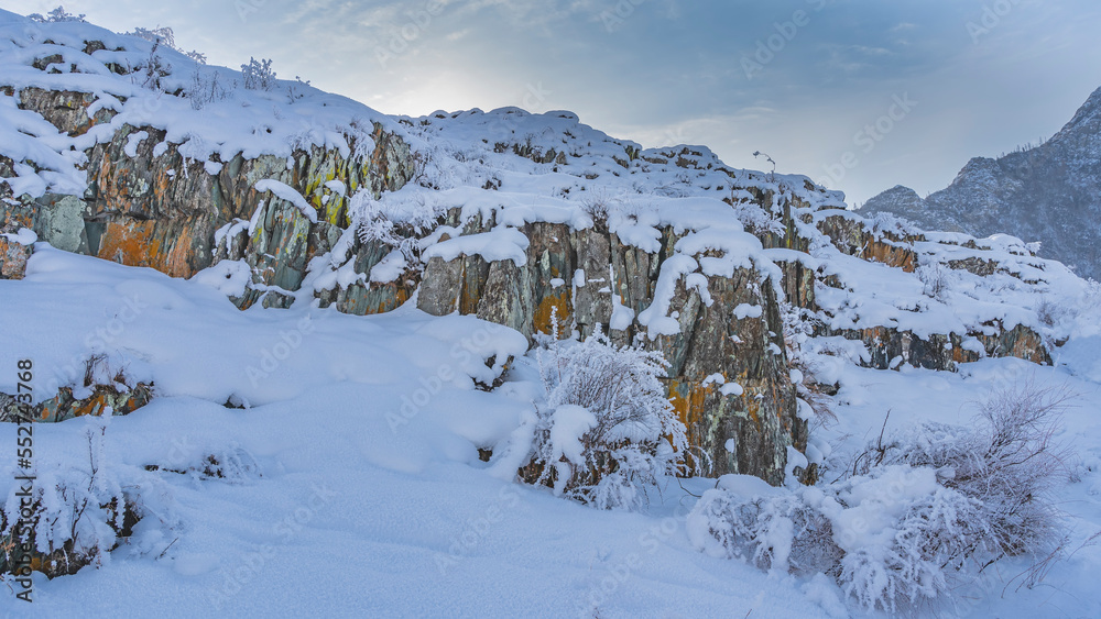 Harsh rocks under a layer of untouched snow. Lichens on steep slopes ...