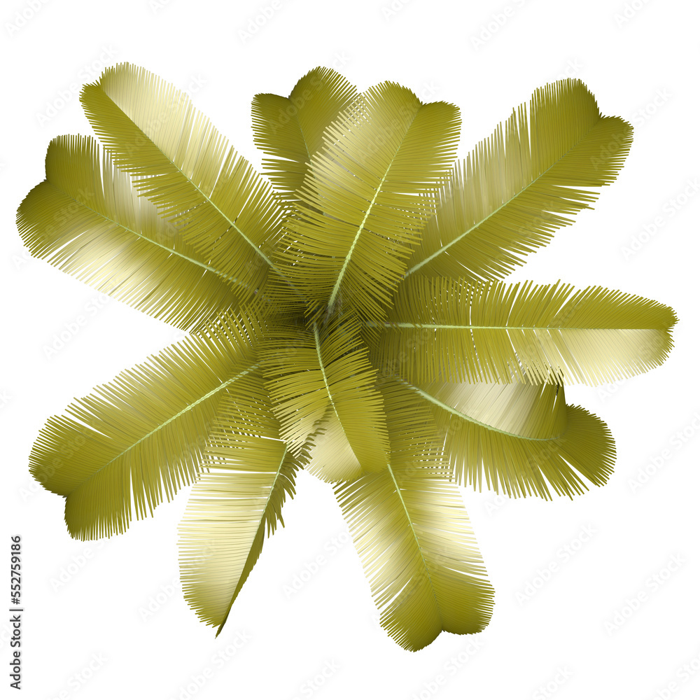 Generic Plant Tree PNG rendered in 4K Resolution for compositing and ...