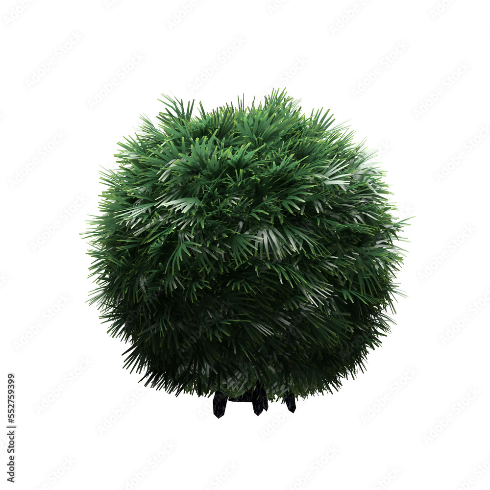 Generic Plant Tree PNG rendered in 4K Resolution for compositing and ...