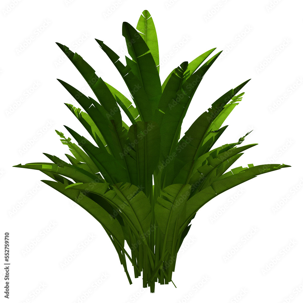 Generic Plant Tree PNG rendered in 4K Resolution for compositing and ...