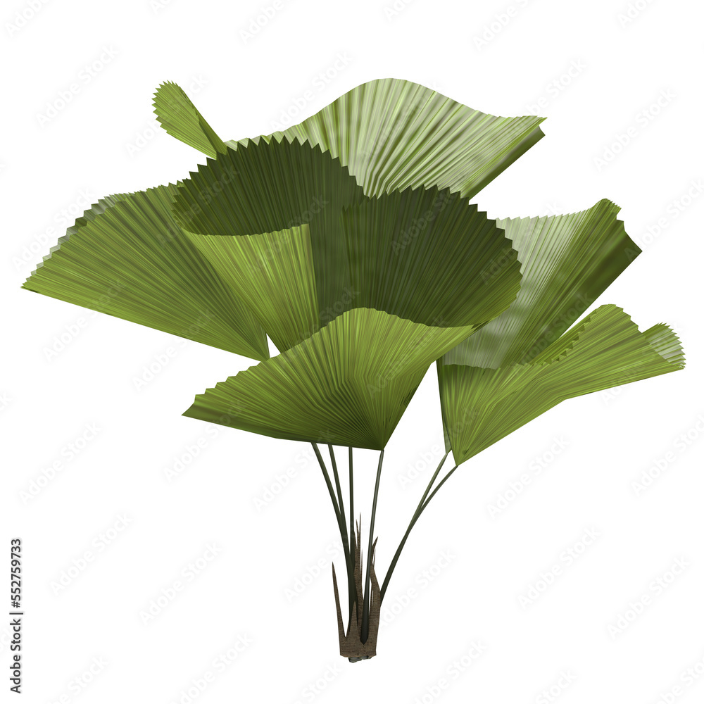 Generic Plant Tree PNG rendered in 4K Resolution for compositing and ...