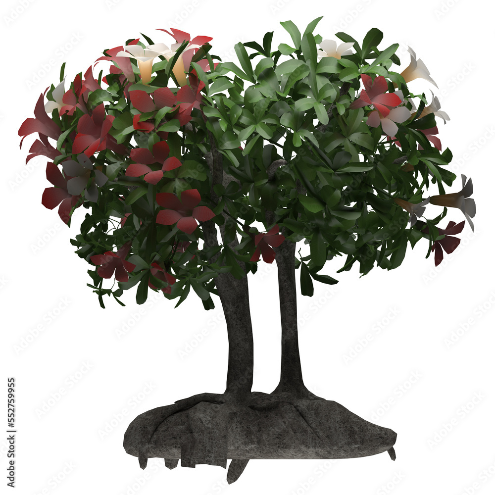 Generic Plant Tree PNG rendered in 4K Resolution for compositing and ...