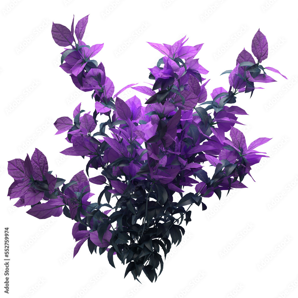 Generic Plant Tree PNG rendered in 4K Resolution for compositing and ...