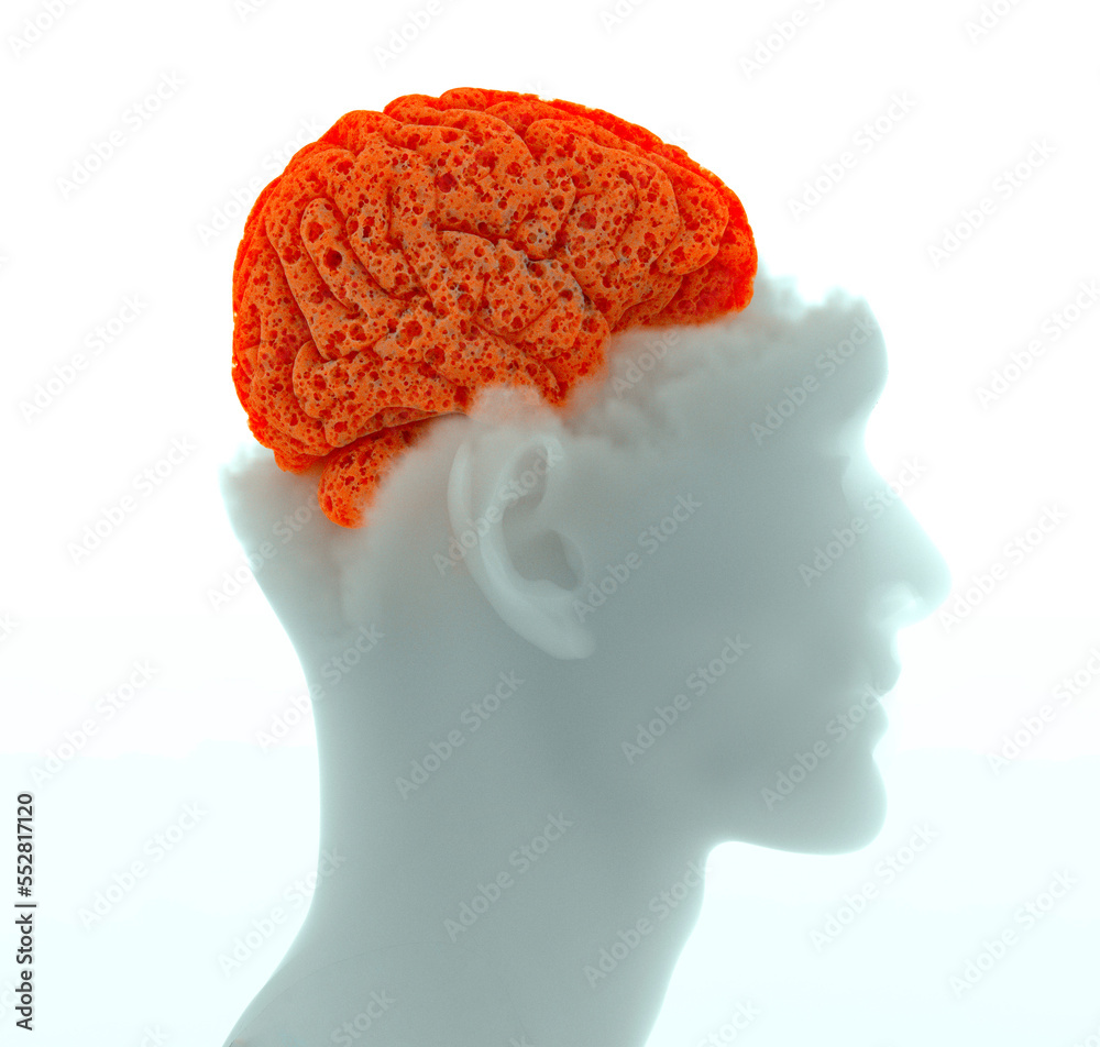 Neurology, philosophy, the development of thought and reflection, how ...