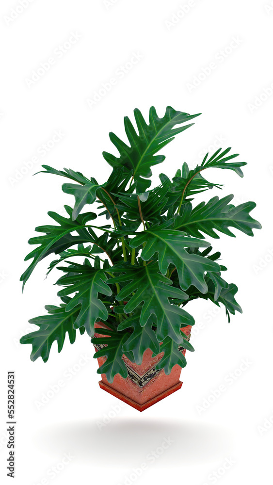 Tree isolated on white background high resolution for graphic ...