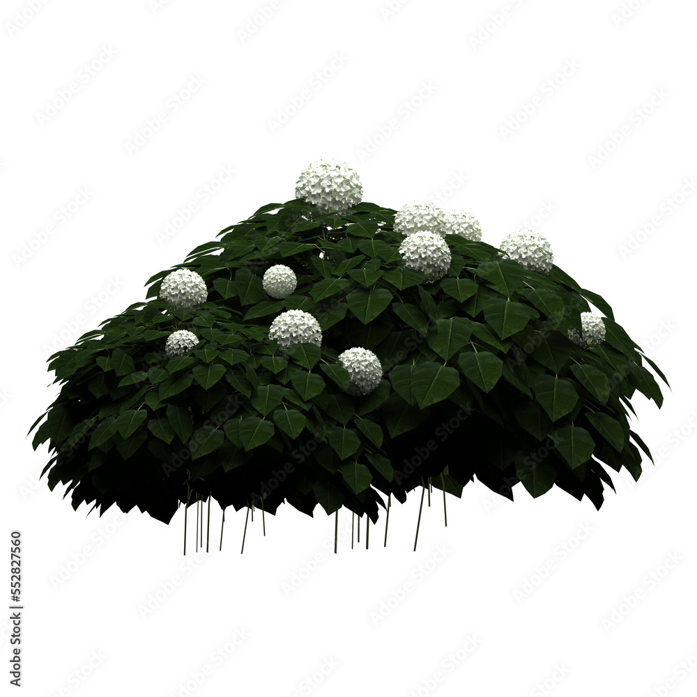 Generic Plant Tree PNG rendered in 4K Resolution for compositing and ...