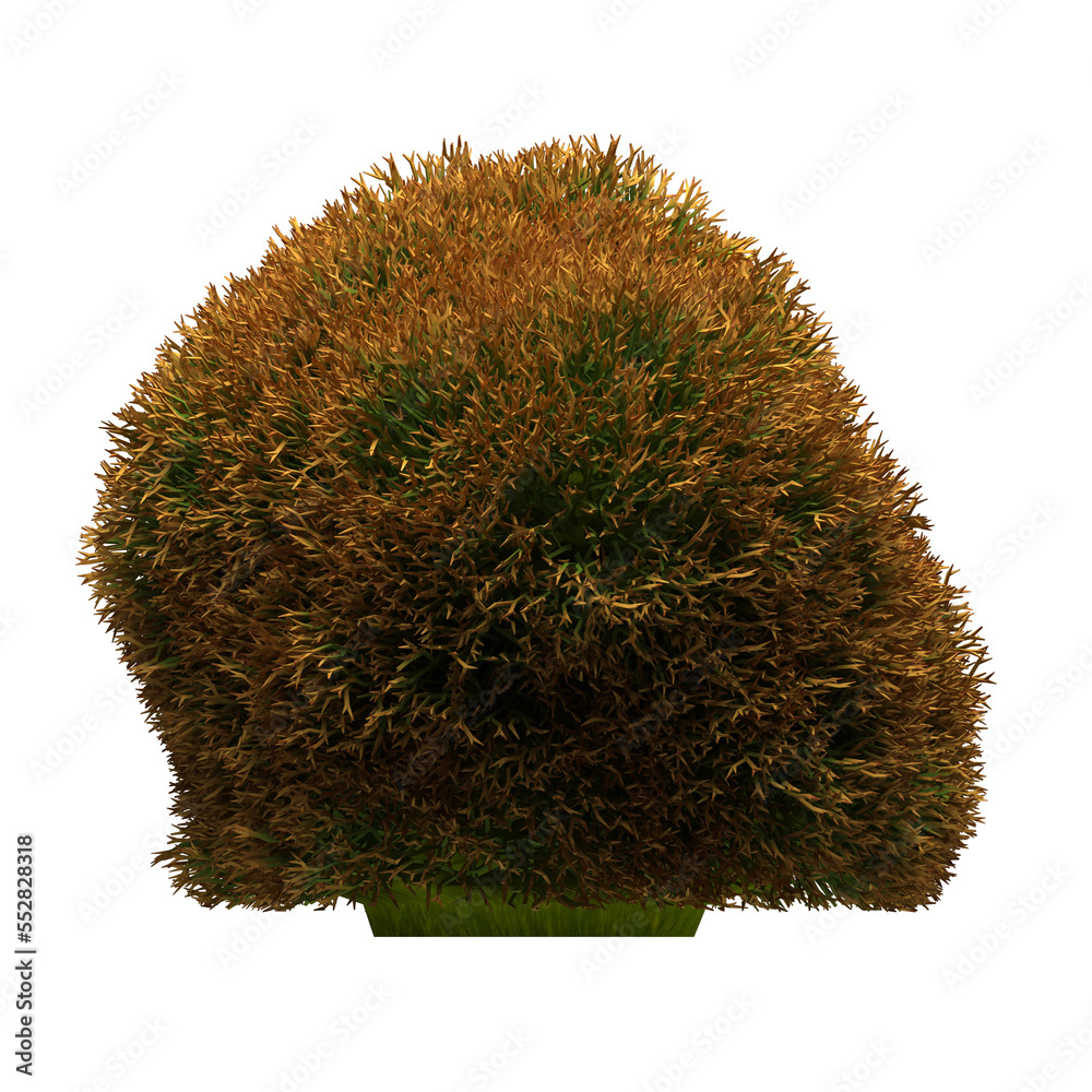 Generic Plant Tree PNG in 4K Resolution for compositing and Background ...