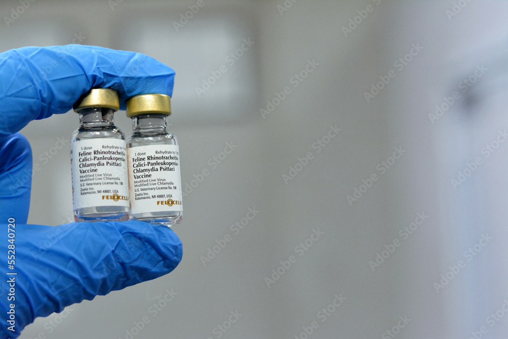 Cairo, Egypt, December 8 2022: Felocell 4, modified live attenuated ...