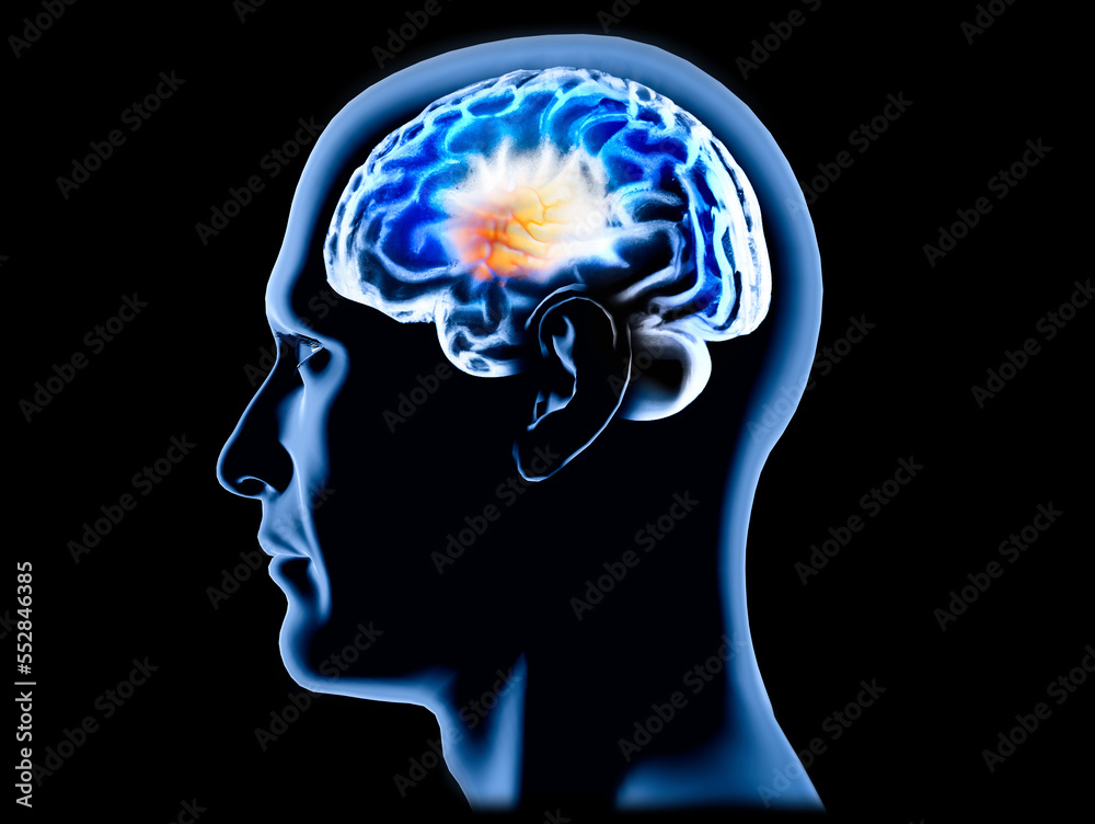 Neurology, philosophy, the development of thought and reflection, how ...