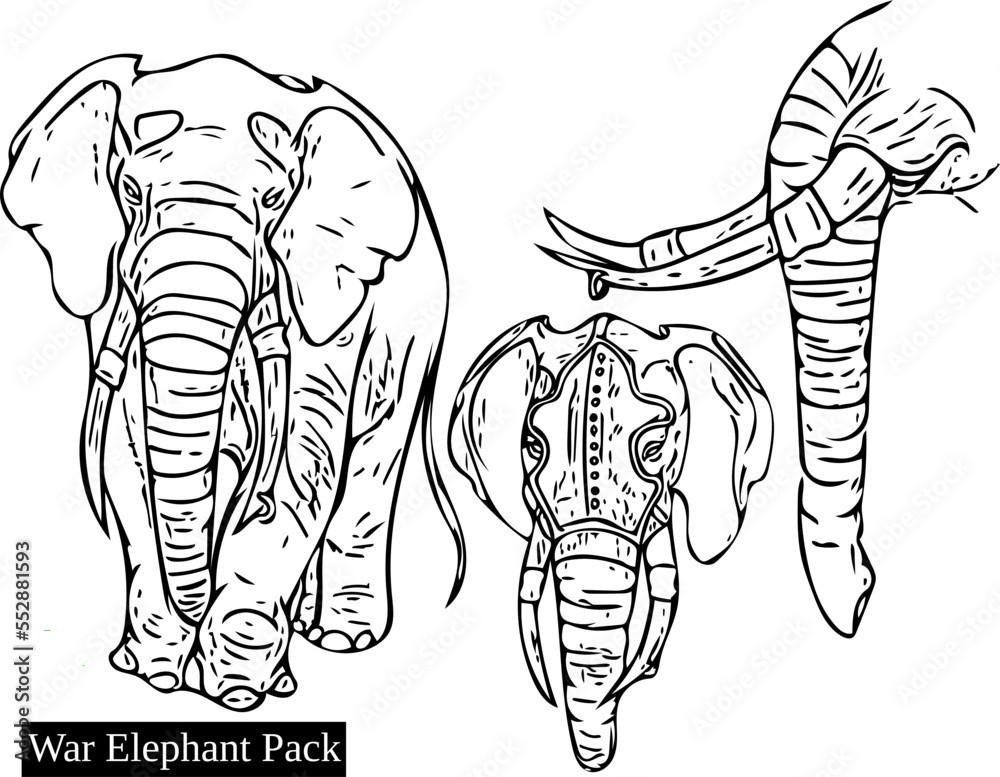 War Elephant Fantasy Vector Illustration Pack Stock Vector | Adobe Stock