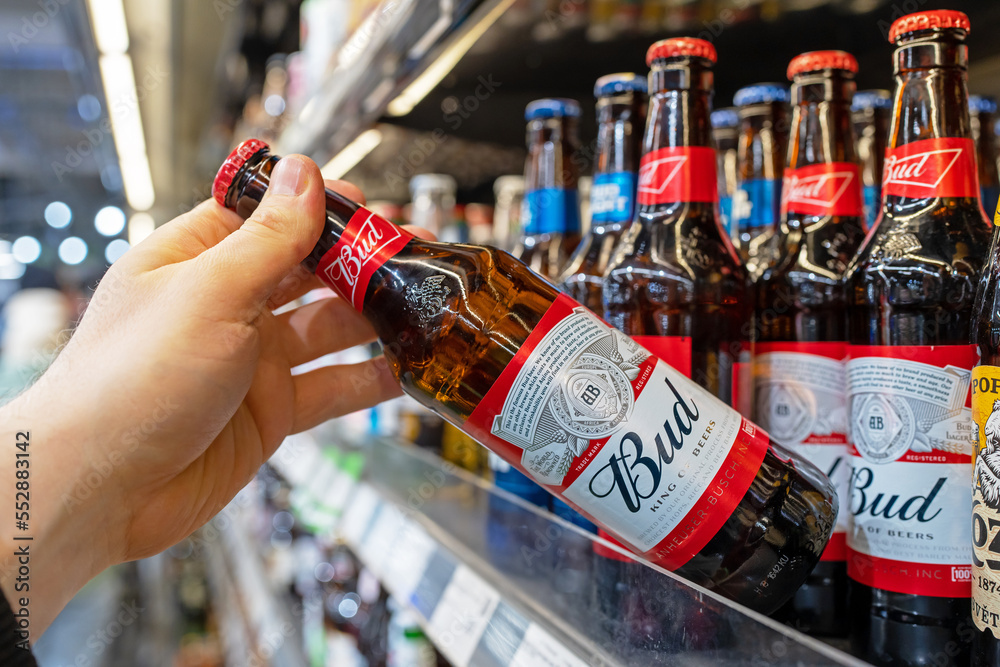 Budweiser Beer Bud bottles on shelves in a supermarket. Buyer takes Bud ...