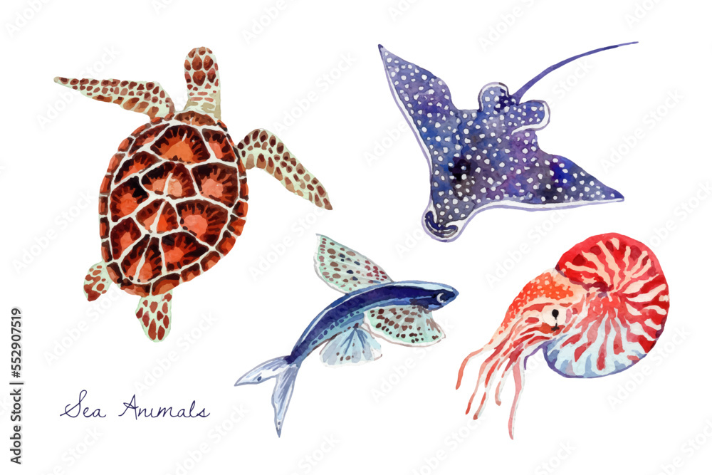 Watercolor sea animals collection Stock Vector | Adobe Stock