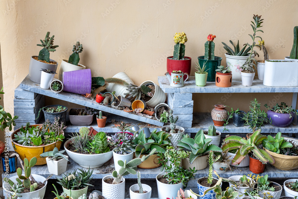 Plants stand collapsed with broken ceramic and tera cotta pots Stock ...