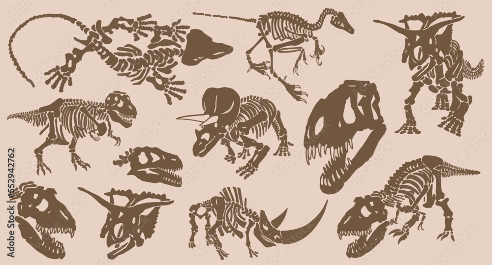 Graphical vintage set of dinosaur skeletons,vector illustration ...