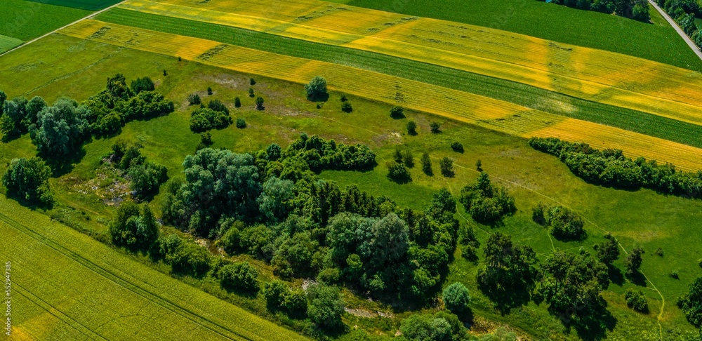 Die Sander Heide, ein kleines Naturdenkmal nahe der Sander Seen im ...