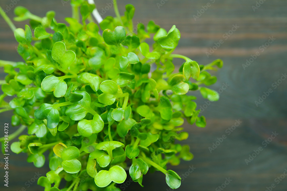 Top View of Japanese Radish Microgreens or Daikon Kaiware Ready for ...
