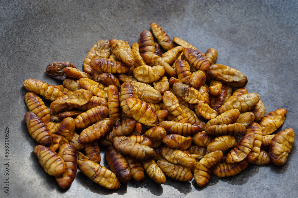 Closeup fried silk worms on pan. Concept, weird food. Insects eating ...