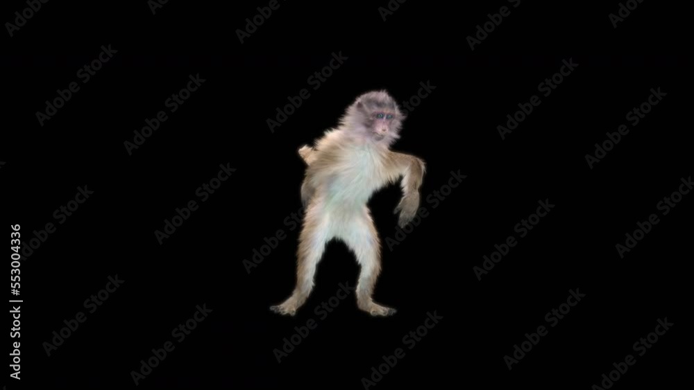 monkeys Dance CG fur 3d rendering animal realistic CGI VFX Animation ...