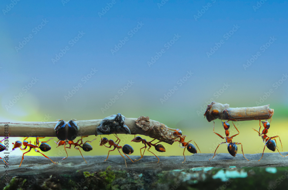 Ants carry a log - Generative AI Stock Illustration | Adobe Stock