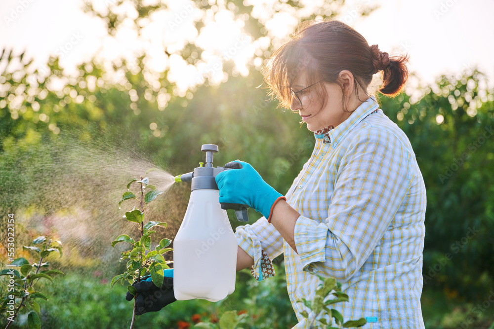 Woman in garden with spray gun spraying young trees with preparations ...