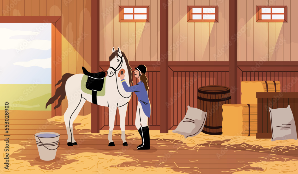 Horse care. Girl takes thoroughbred stallion car in racetrack stables ...