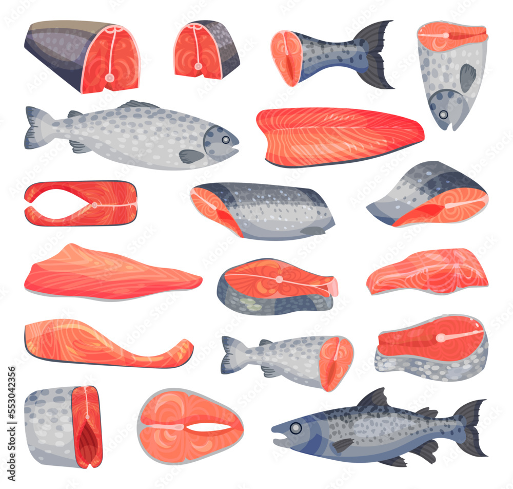 Salmon Fish Food as Raw Seafood and Sea Product Big Vector Set Stock ...