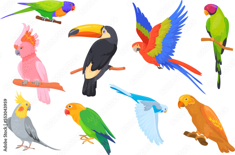 Exotic pretty parrots. Cartoon parrot of tropical brazil amazon jungle ...