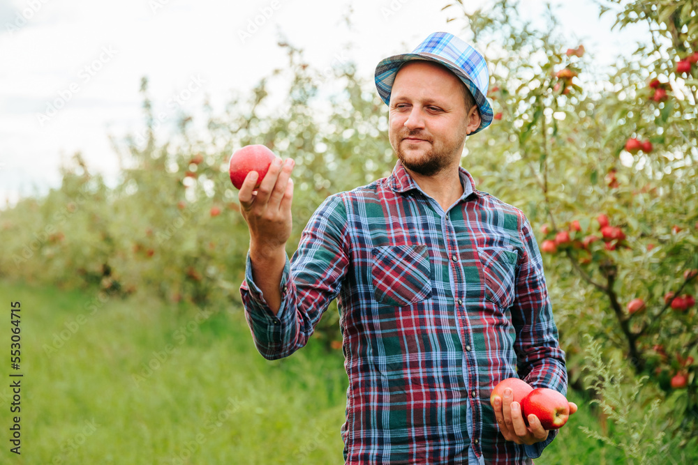 A young guy farmer proudly looks at the apples in his hands and smiles ...