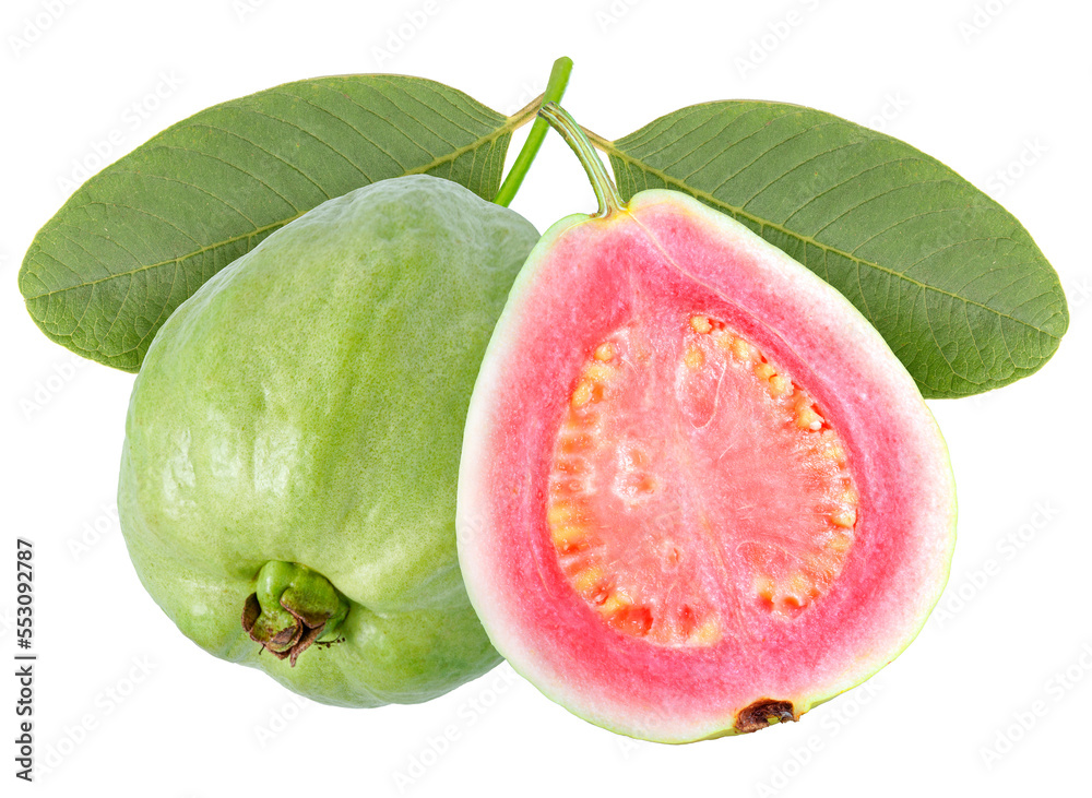 Pink guava fruit with leaf on white background, Fresh Pink guava on ...