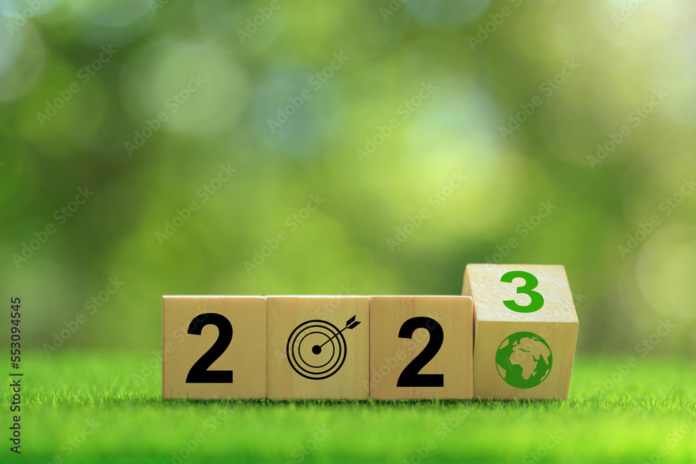 Goal in the new year 2023.Green business, Wooden cubes with numbers ...