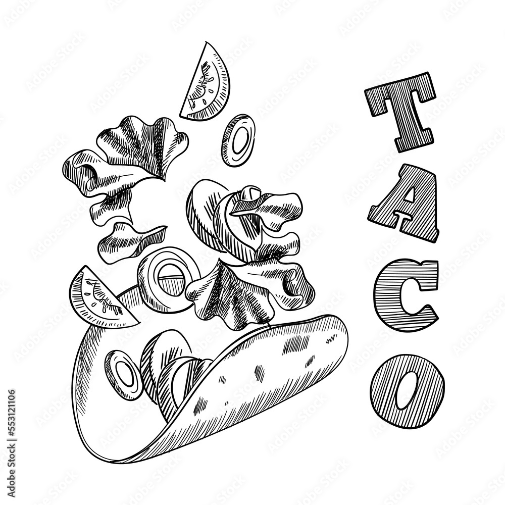 Hand drawn taco. Sketch style illustration of constructor taco. Flying ...