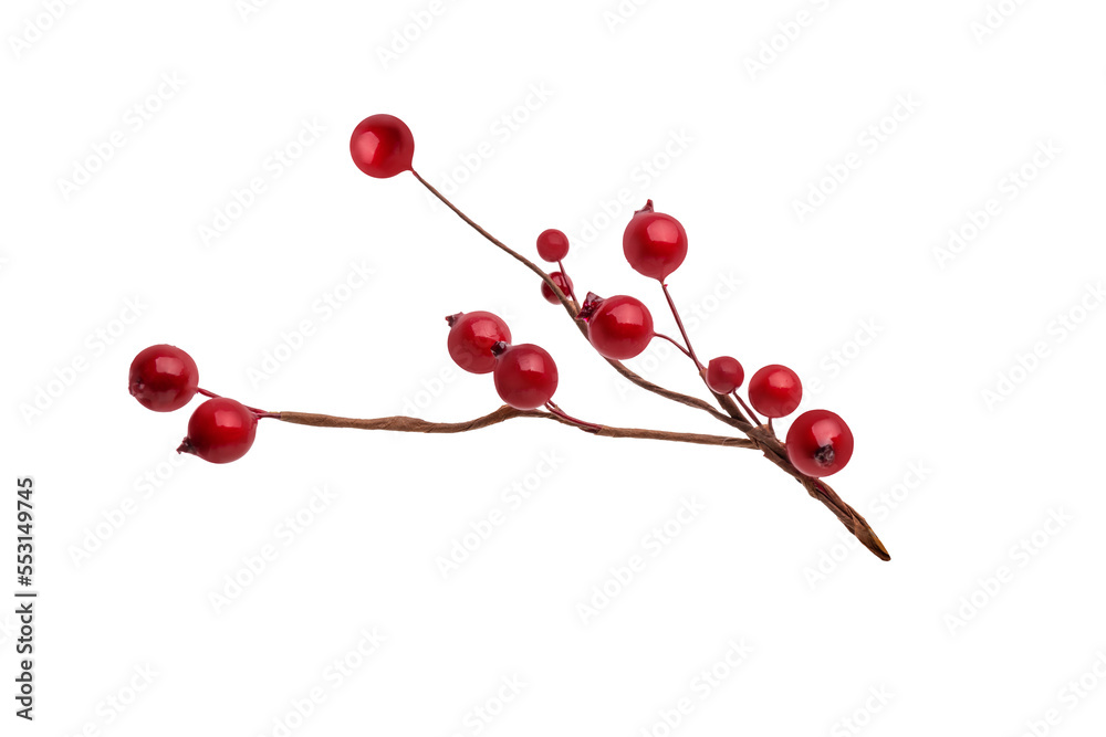 branches of red berries. christmas tree branch, isolated on transparent ...