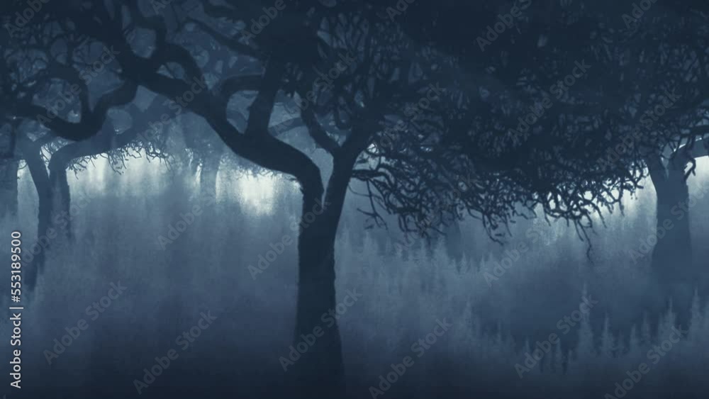 Mystical dark forest seamless looping animation Stock Video | Adobe Stock