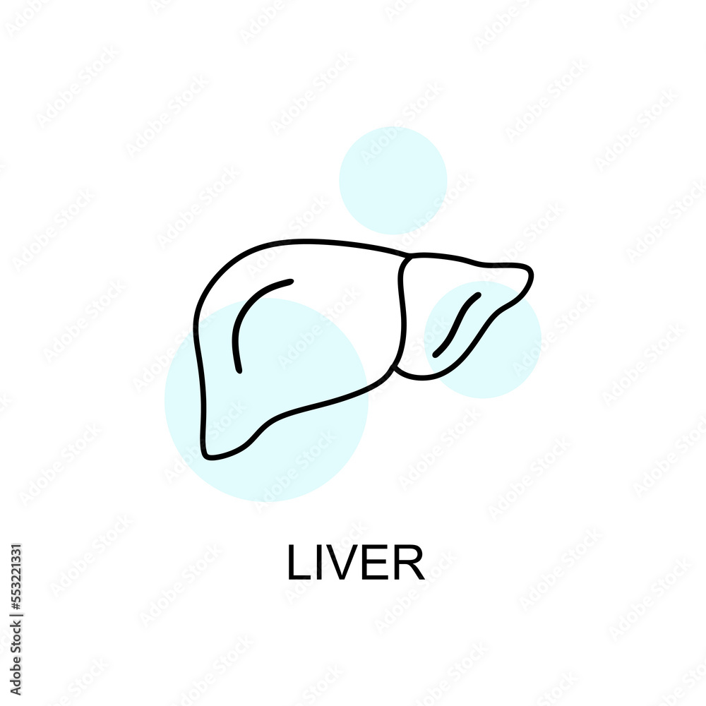 Liver Human linear icon. Human liver in linear style isolated. Icon The ...